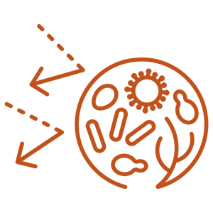 Alltech® Pork Team — Research